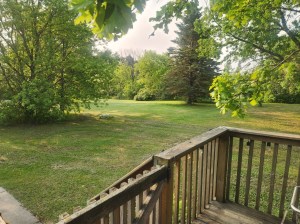 The Answer Is No by Fredrik Backman – Book Journey